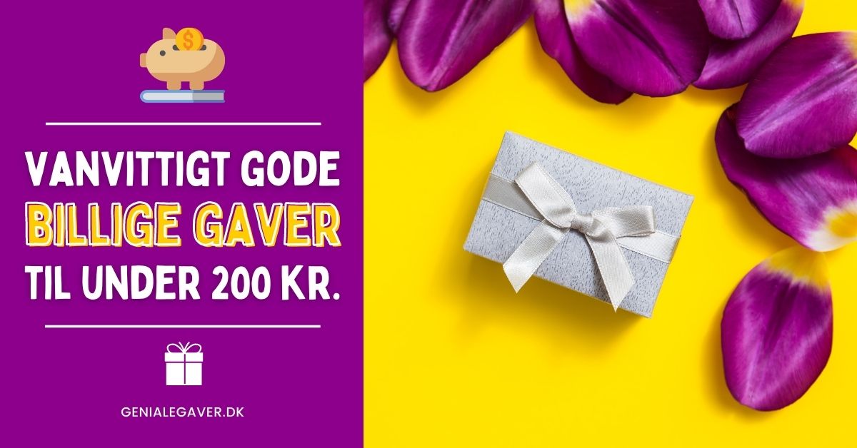 Billige gaver » 150+ GENIALE billige gaver til under 200 kr.