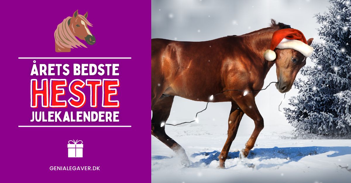 Heste julekalender 2025 » Årets bedste hestekalendere