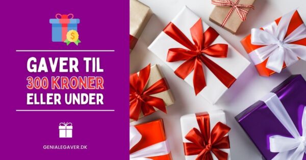 Gaver til 300 kr. » 100 geniale gaver til under 300 kr.